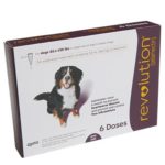 Revolution Topical Solution for Dogs - 1Family 1Health Pharmacy