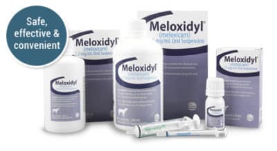 Meloxidyl (Meloxicam) 1.5 mg/ml Oral Suspension - 1Family 1Health Pharmacy