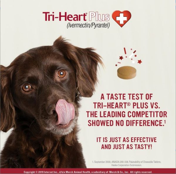 Tri-Heart Plus Chewable Tablets for Dogs | 1Family 1Health Pharmacy