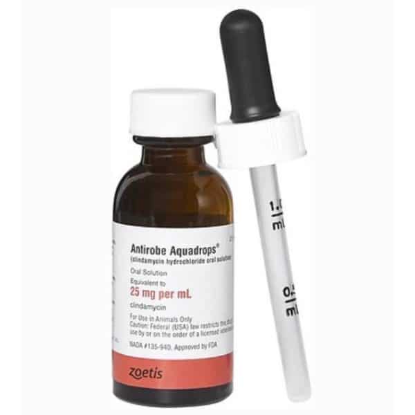 Antirobe (Clindamycin) Aquadrops Liquid 25mg/ml 20ml | 1Family 1Health ...