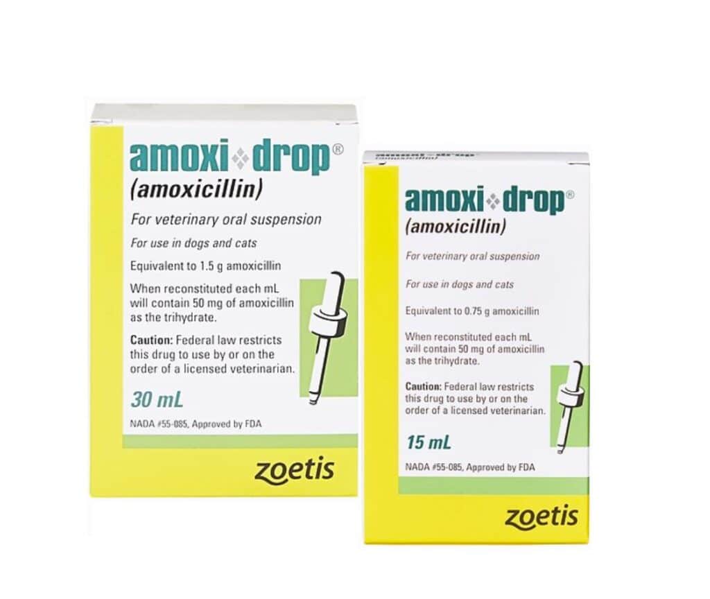 Amoxi-Drop (Amoxicillin) Oral Suspension for Dogs & Cats | 1Family ...