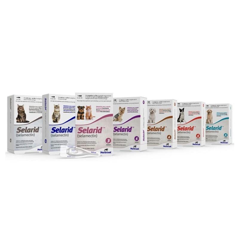 Selarid (selamectin) Topical for Dogs 6 Ct. Pack | 1Family 1Health Pharmacy