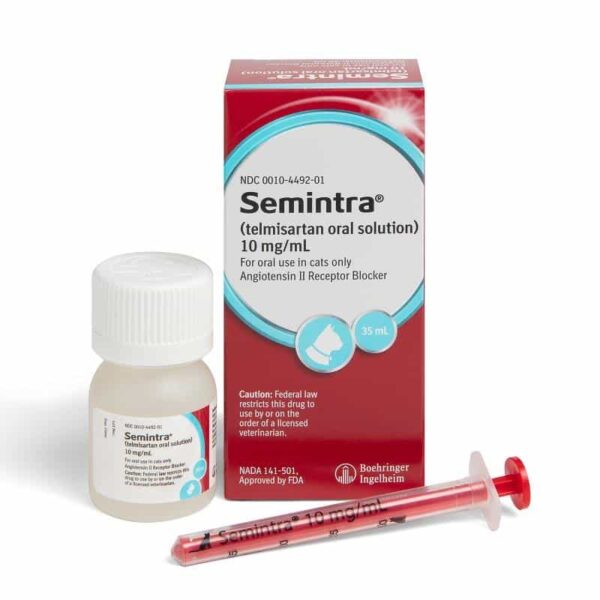 Semintra (telmisartan) Oral Solution for Cats 10mg/mL 35 mL | 1Family ...