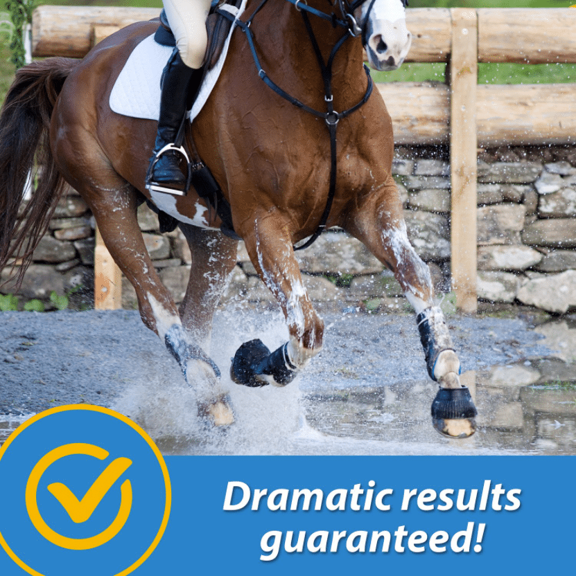 FluidFlex Liquid Horse Joint Supplement | 1Family 1Health Pharmacy