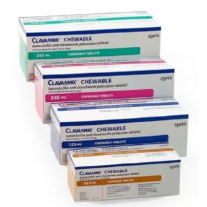 Clavamox (Amoxicillin / Clavulanate Potassium) Chewable Tablets ...