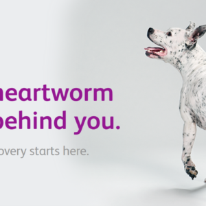 DIROBAN Sterile Powder for Injection - 1Family 1Health Pharmacy