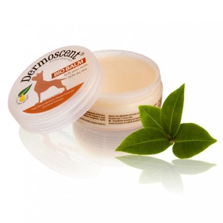Dermoscent BioBalm Skin Repairing Dog Balm 1.67Oz (50ml) Jar - 1Family ...