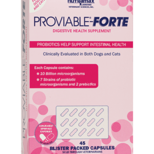 Discover the Best 10 Probiotic Supplements for Digestive Health with ...