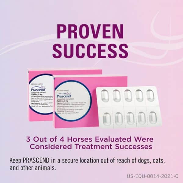 Prascend (Pergolide) 1mg. Tablets for Horses 10 Tabs | 1Family 1Health ...