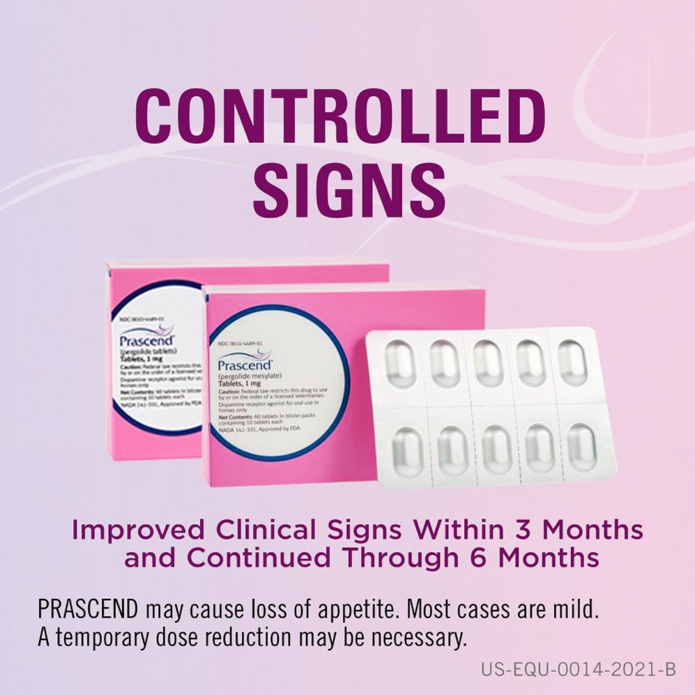 Prascend (Pergolide) 1mg. Tablets for Horses 10 Tabs | 1Family 1Health ...