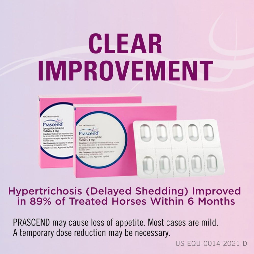 Prascend (Pergolide) 1mg. Tablets for Horses 10 Tabs | 1Family 1Health ...