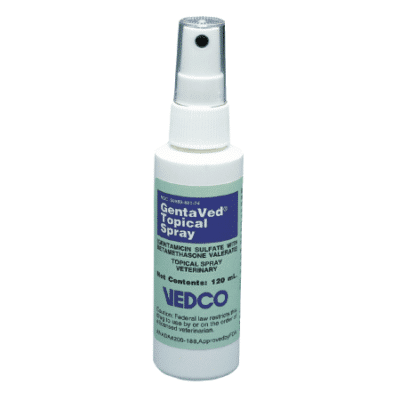 Gentaved (Gentamicin/Betamethasone) Topical Spray for Dogs | 1Family ...
