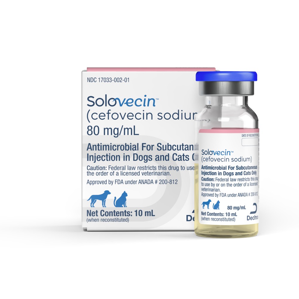 Solovecin (cefovecin sodium) Injection 80mg/ml 10ml Vial | 1Family ...